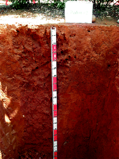 Oxisols and Ultisols | SpringerLink