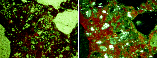 Oxisols and Ultisols | SpringerLink