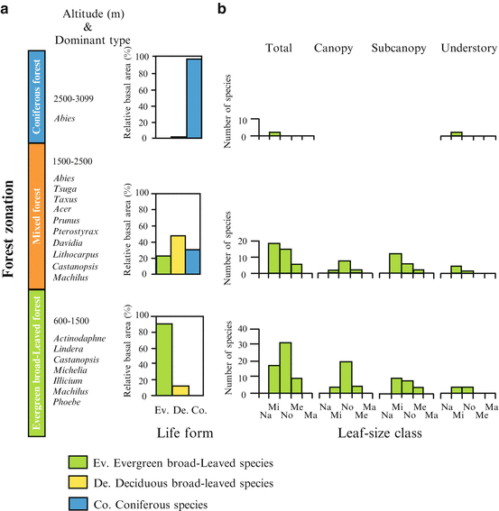 Evergreen Broad-Leaved Forests | SpringerLink