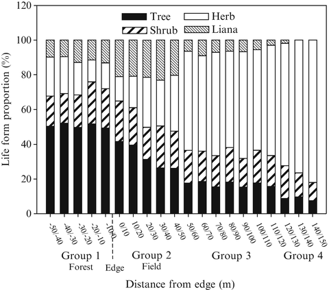 Evergreen Broad-Leaved Forests | SpringerLink