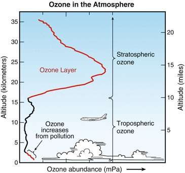 Stratospheric Ozone Depletion | SpringerLink