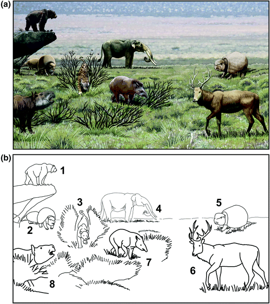 Continental Relationships, Chronostratigraphy, Climates, and Mammalian ...