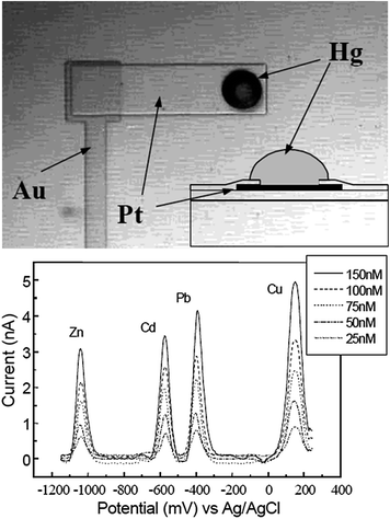 Sensors and Devices for Heavy Metal Ion Detection | SpringerLink