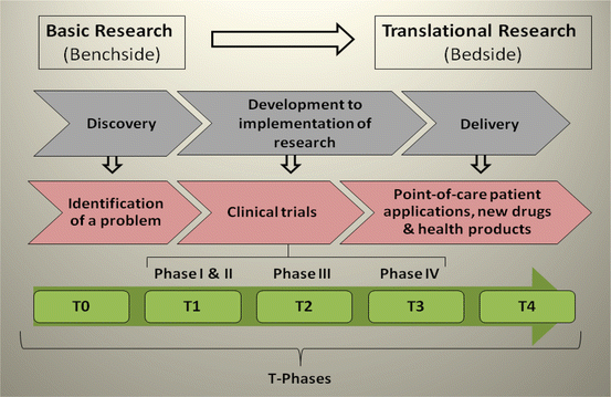 Translational Research in Drug Discovery and Development | SpringerLink