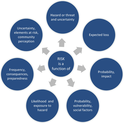 Disaster Risk Management | SpringerLink