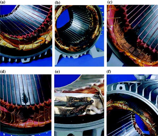 Induction Motor and Faults | SpringerLink