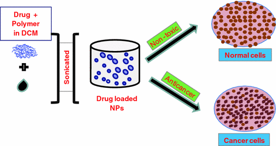 Biodegradable Nanoparticles and Their In Vivo Fate | SpringerLink