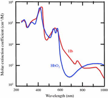 Light-Tissue Interactions | SpringerLink
