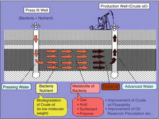 Bioleaching and Biomining | SpringerLink