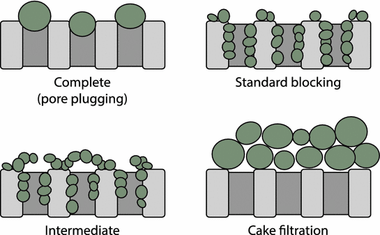 Fouling in Membrane Bioreactors | SpringerLink