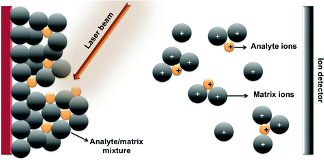 Principles and Mechanism of MALDI-ToF-MS Analysis | SpringerLink