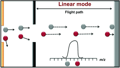 Principles and Mechanism of MALDI-ToF-MS Analysis | SpringerLink
