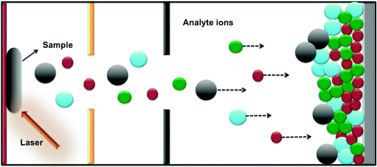 Principles and Mechanism of MALDI-ToF-MS Analysis | SpringerLink