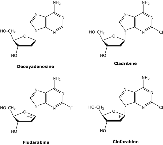 Clofarabine: Structure, Mechanism of Action, and Clinical Pharmacology ...