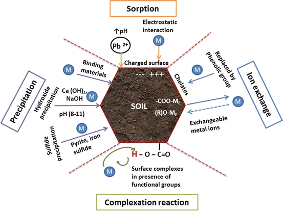 Soil Mineralogical Perspective on Immobilization/Mobilization of Heavy ...