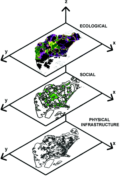 Urban Ecological Networks for Biodiversity Conservation in Cities ...