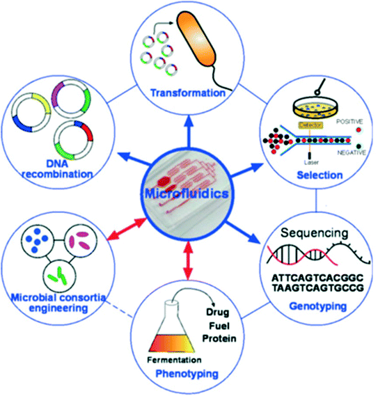 Microfluidic Platforms for Microbial | SpringerLink
