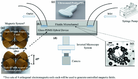 Magnetically Actuated Minimally Invasive Microbots for Biomedical ...