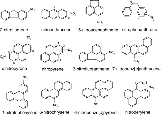 Chemistry of Polycyclic Aromatic Hydrocarbons (PAHs), Nitropolycyclic ...