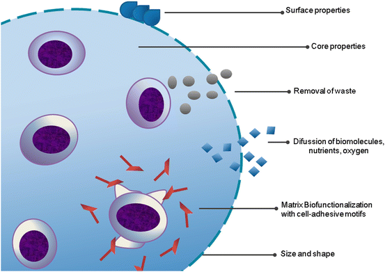 Alginate Microcapsules for Drug Delivery | SpringerLink