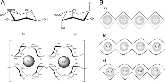 Alginate Microcapsules for Drug Delivery | SpringerLink