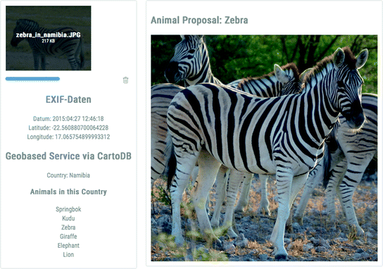 Automated Animal Recognition Platform | SpringerLink
