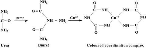 To Determine the Quantity of Proteins in Urine Sample Using Biuret ...