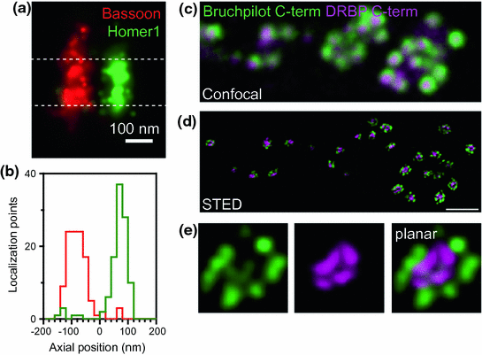 Super-Resolution STED and STORM/PALM Microscopy for Brain Imaging ...
