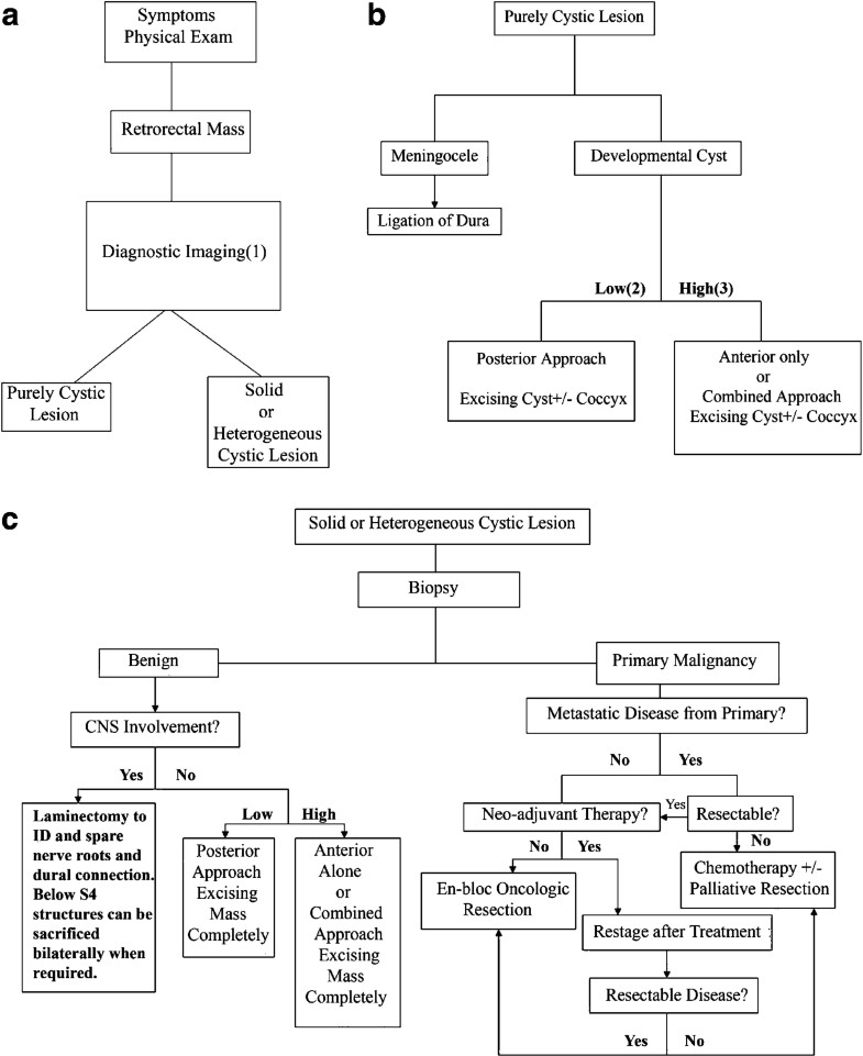 Presacral Tumors | SpringerLink