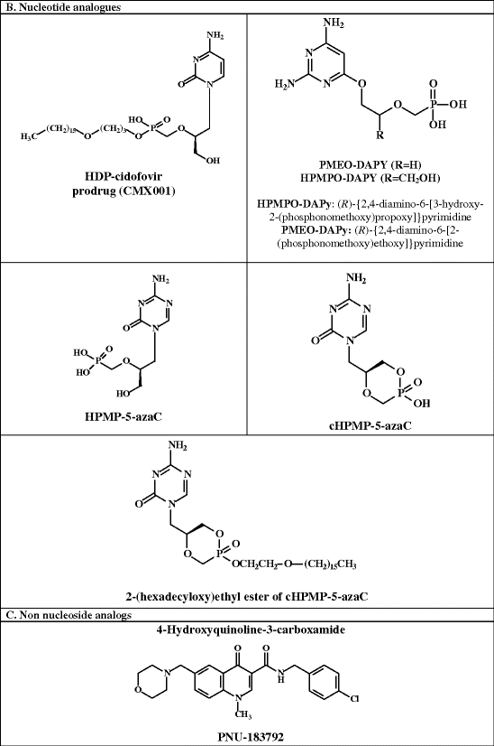 Viral DNA Polymerase Inhibitors | SpringerLink