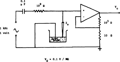 Extracellular Single-Unit Recording Methods | SpringerLink