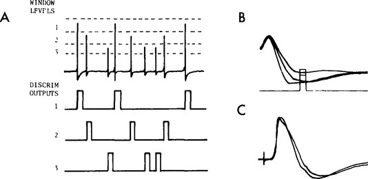 Extracellular Single-Unit Recording Methods | SpringerLink