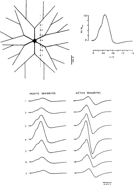Extracellular Single-Unit Recording Methods | SpringerLink