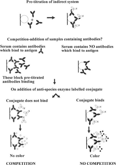 Basic Principles of ELISA | SpringerLink