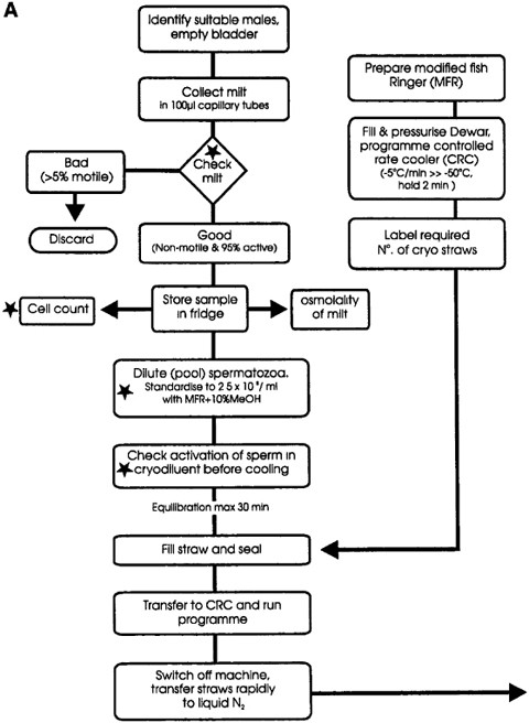 Cryopreservation of Fish Spermatozoa | SpringerLink