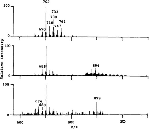 Fast Atom Bombardment-Mass Spectrometry | SpringerLink