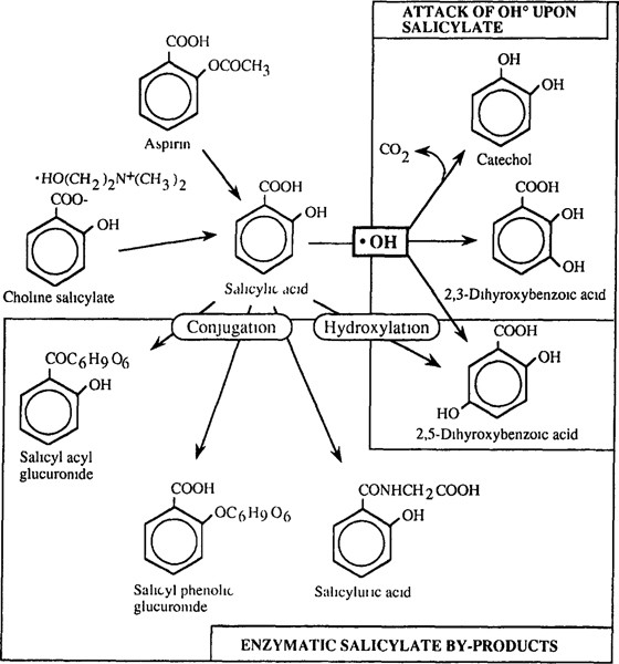 Aromatic Hydroxylation | SpringerLink