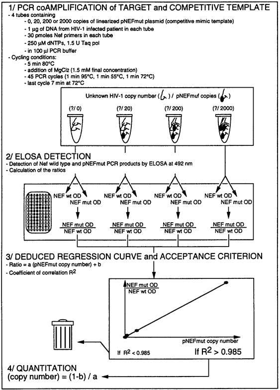 Comparison of Competitive PCR and Positive Control-Based PCR | SpringerLink