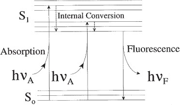 Steady-State Fluorescence Spectroscopy | SpringerLink