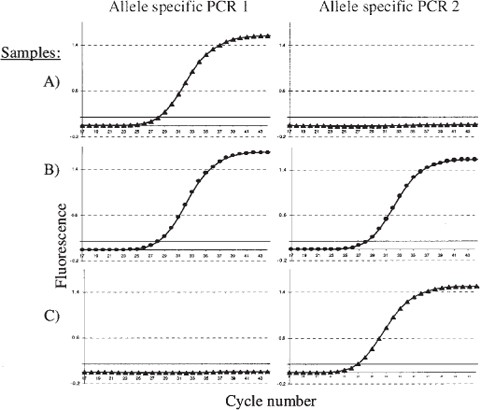 Homogeneous Allele-Specific PCR in SNP Genotyping | SpringerLink