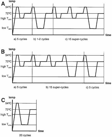 High-Throughput TAIL-PCR as a Tool to Identify DNA Flanking Insertions ...