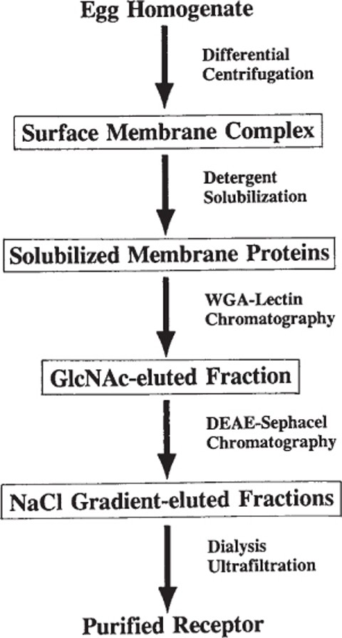 Purification of Membrane Proteins | SpringerLink