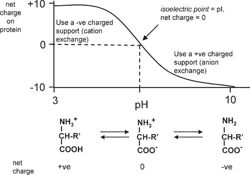 Ion-Exchange Chromatography | SpringerLink