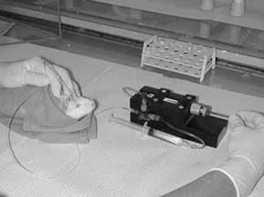 Intrathecal Catheterization and Drug Delivery in the Rat | SpringerLink