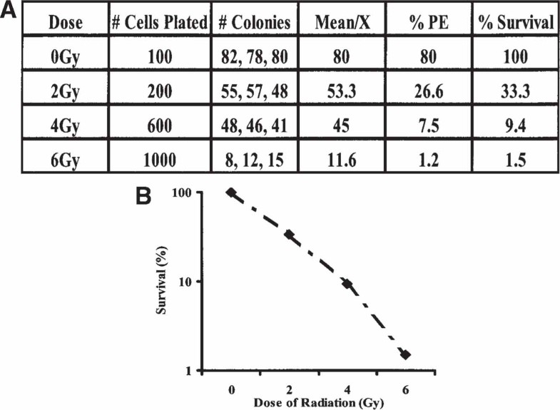 Clonogenic Cell Survival Assay | SpringerLink