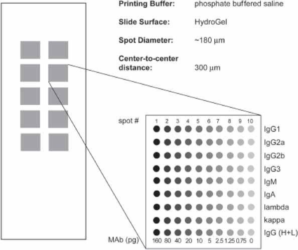 Protein and Peptide Microarray- Based Assay Technology | SpringerLink