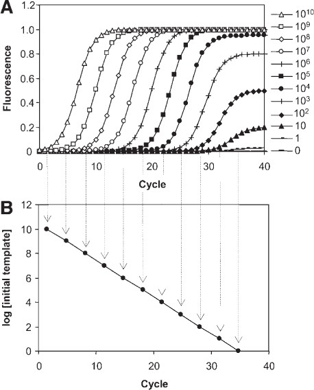 Real-Time Polymerase Chain Reaction and Melting Curve Analysis ...