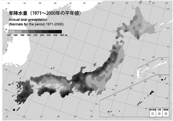 Temperate Rainforests of Japan | SpringerLink