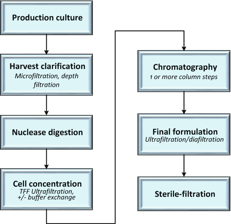 Gene Therapy | SpringerLink