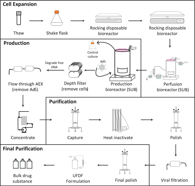 Gene Therapy | SpringerLink